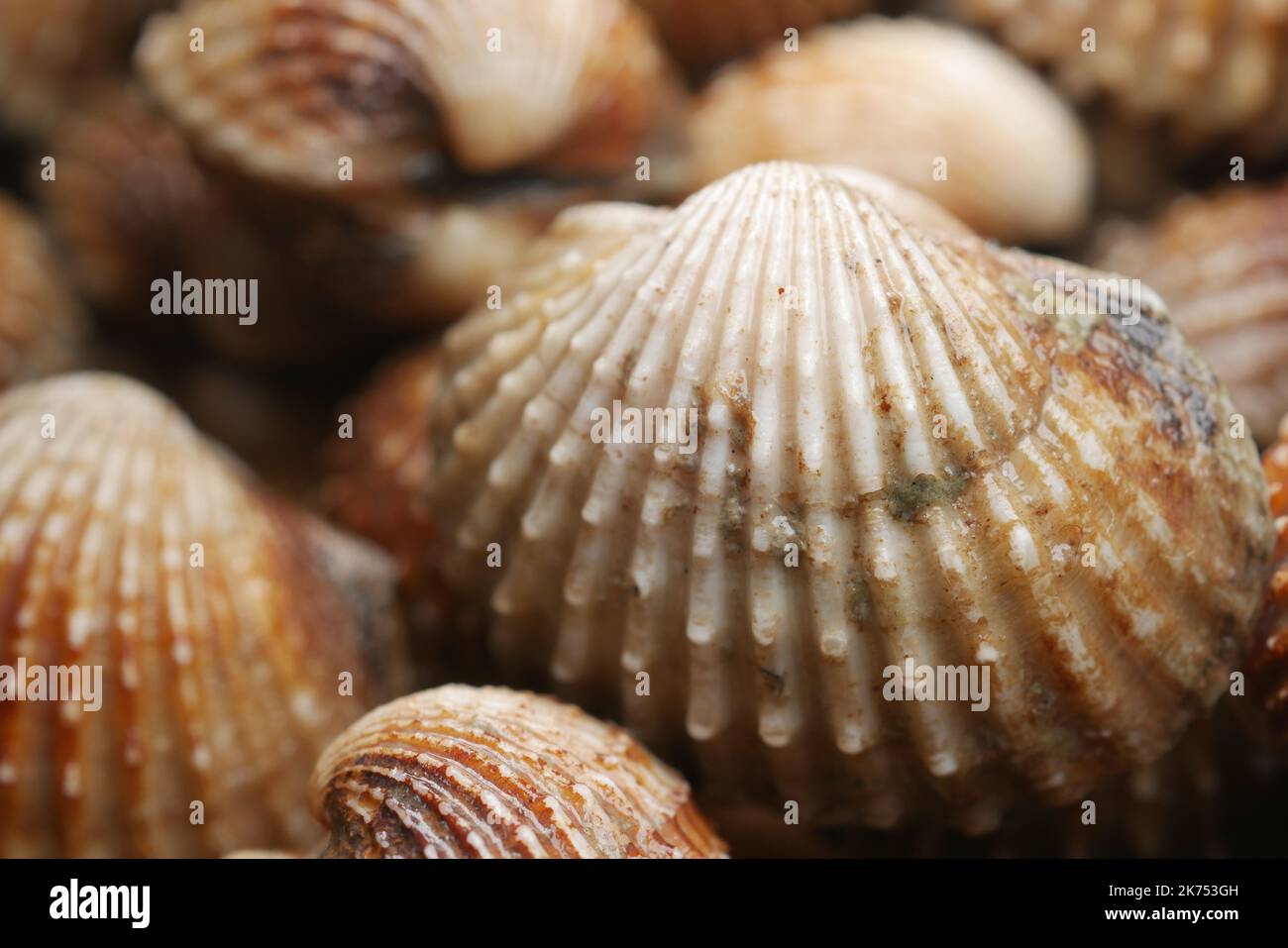 Dolly shot hi-res stock photography and images - Alamy