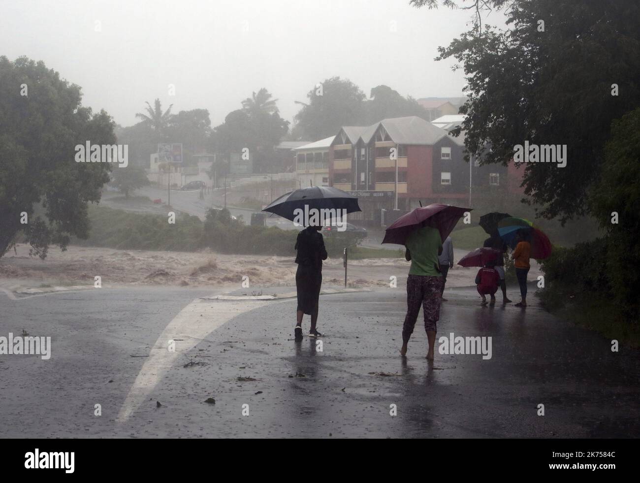 The aftermath of Tropical Cyclone Berguitta after high speed winds and ...