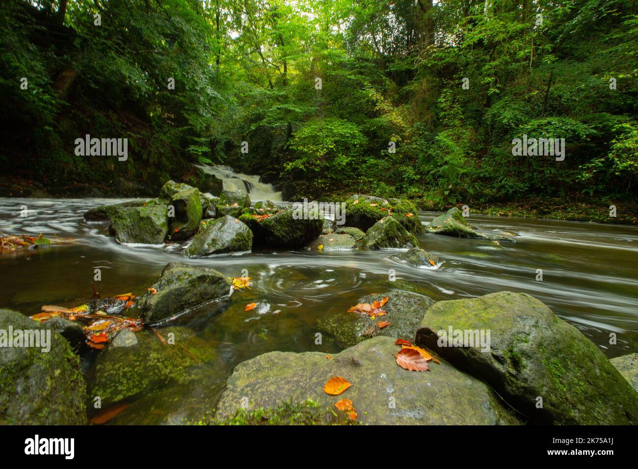 A series of images of the Crumlin Glen, North of Ireland Stock Photo ...