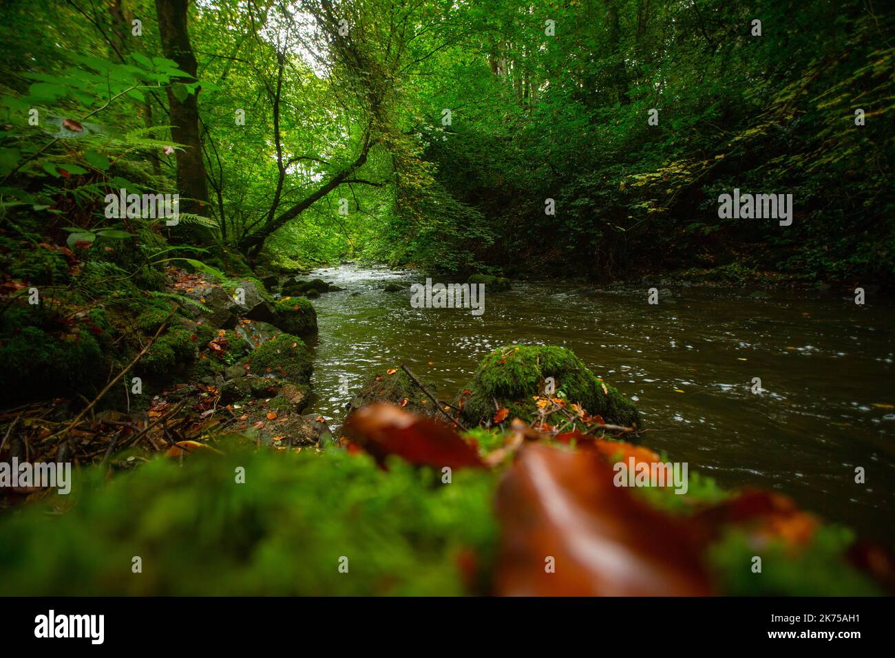 The crumlin river hi-res stock photography and images - Alamy