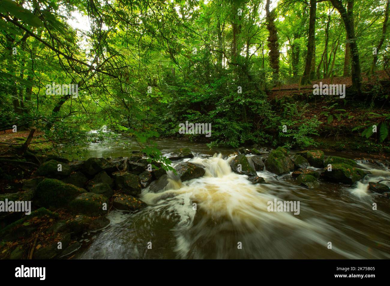 A series of images of the Crumlin Glen, North of Ireland Stock Photo ...