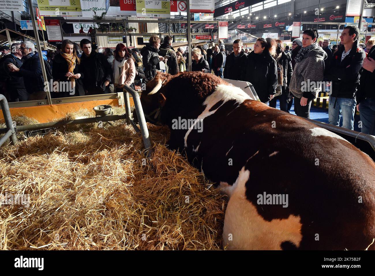 French President Emmanuel Macron visits the Paris International ...