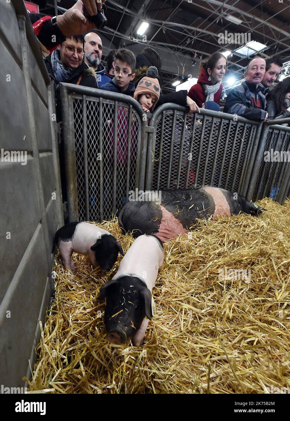 French President Emmanuel Macron visits the Paris International ...