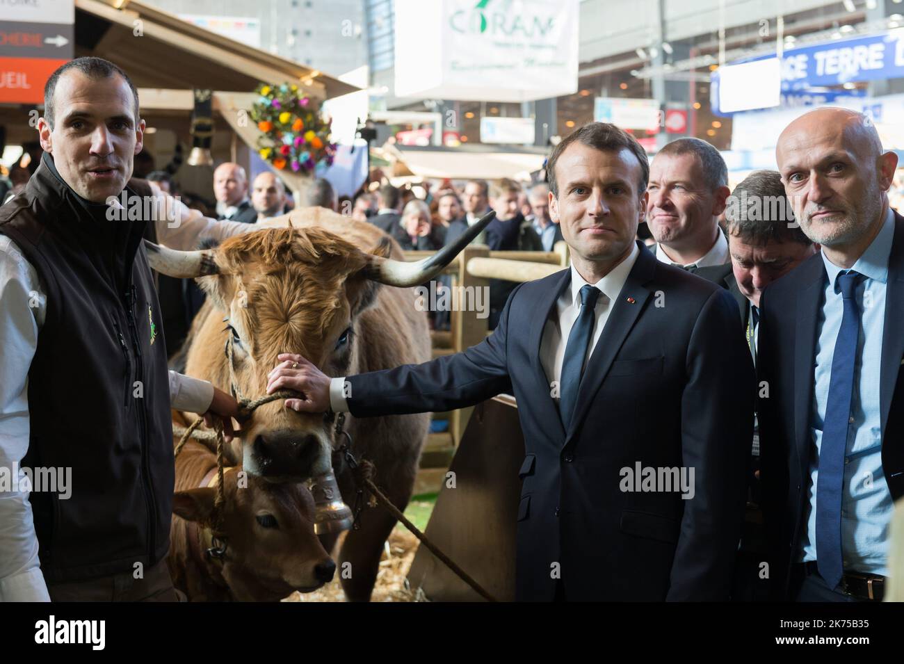 Emmanuel Macron with the cow Haut. French President Emmanuel Macron ...