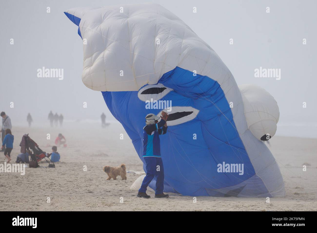 Competitiors in the International Kite Meeting held in Lille, France ...