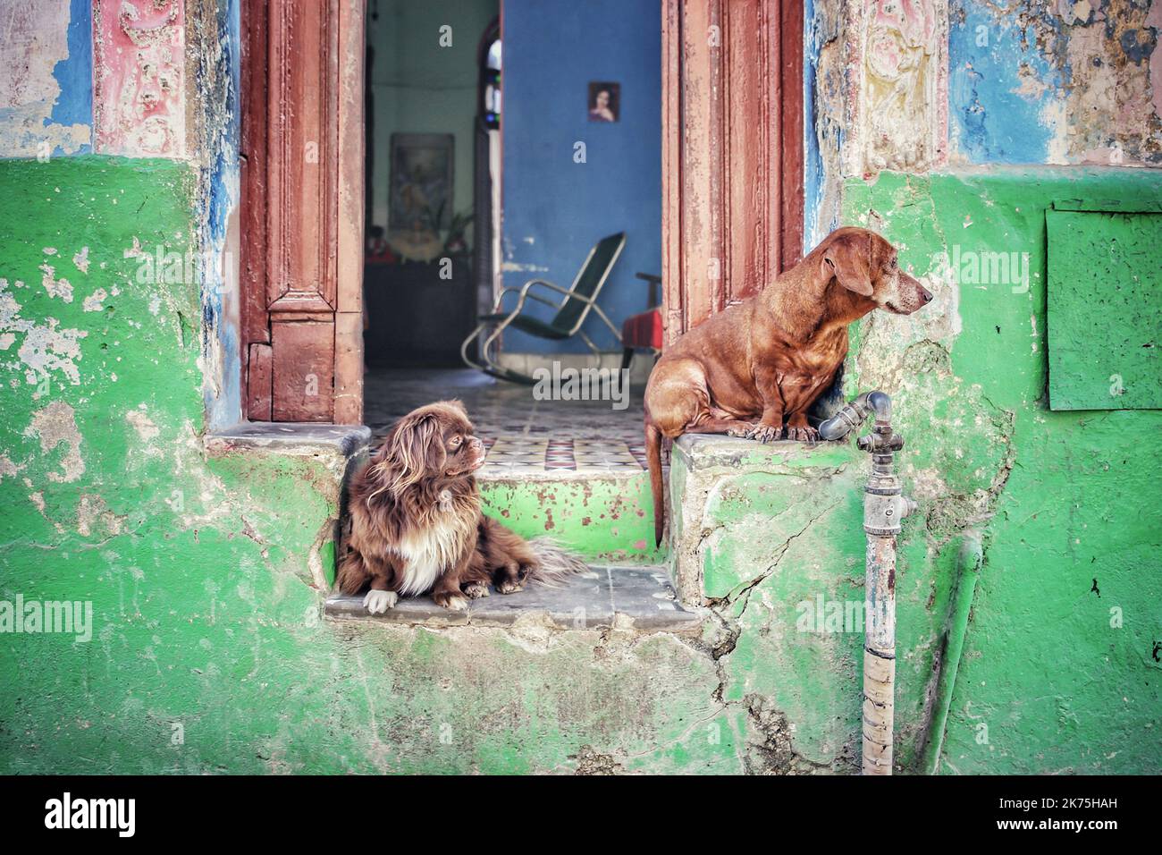 Life style and portraits in La Havana, Cuba End of the Castro Era Stock ...