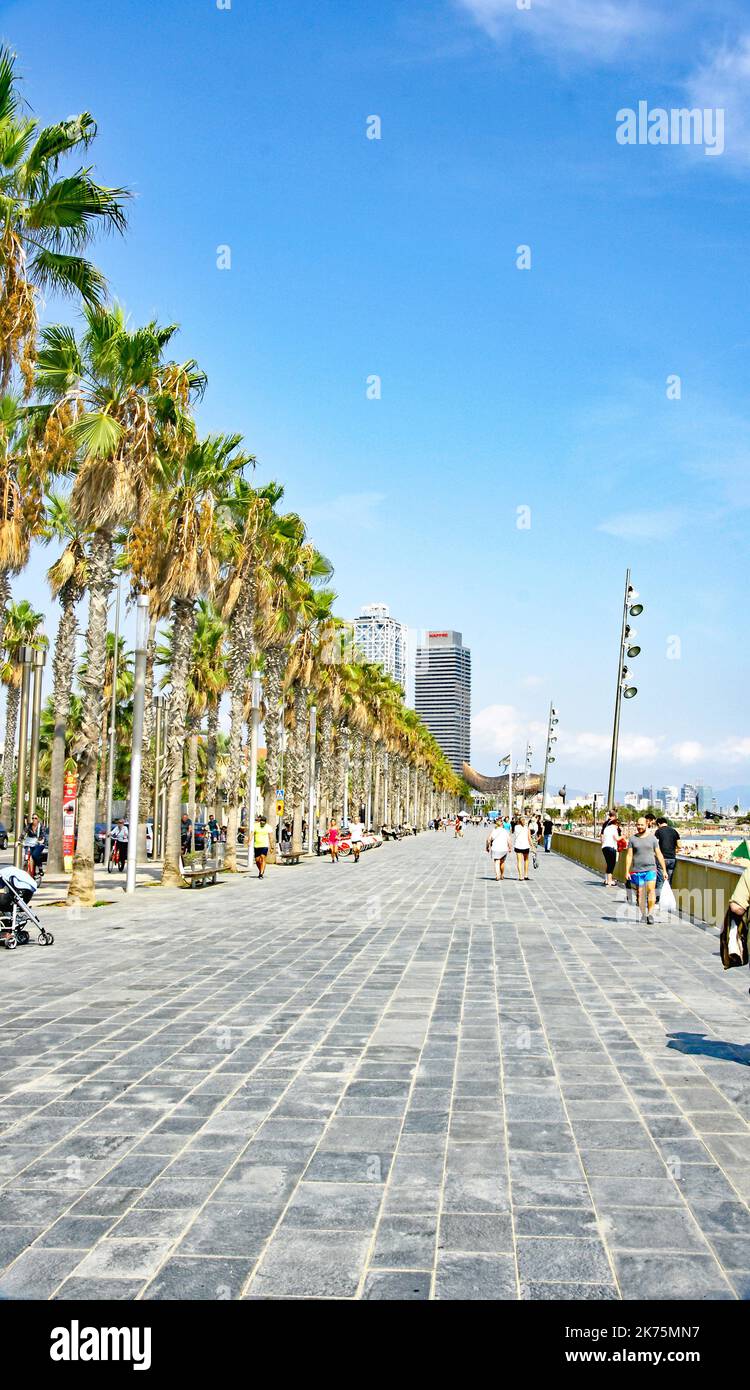 Promenade of Barceloneta in Barcelona, Catalunya, Spain, Europe Stock ...