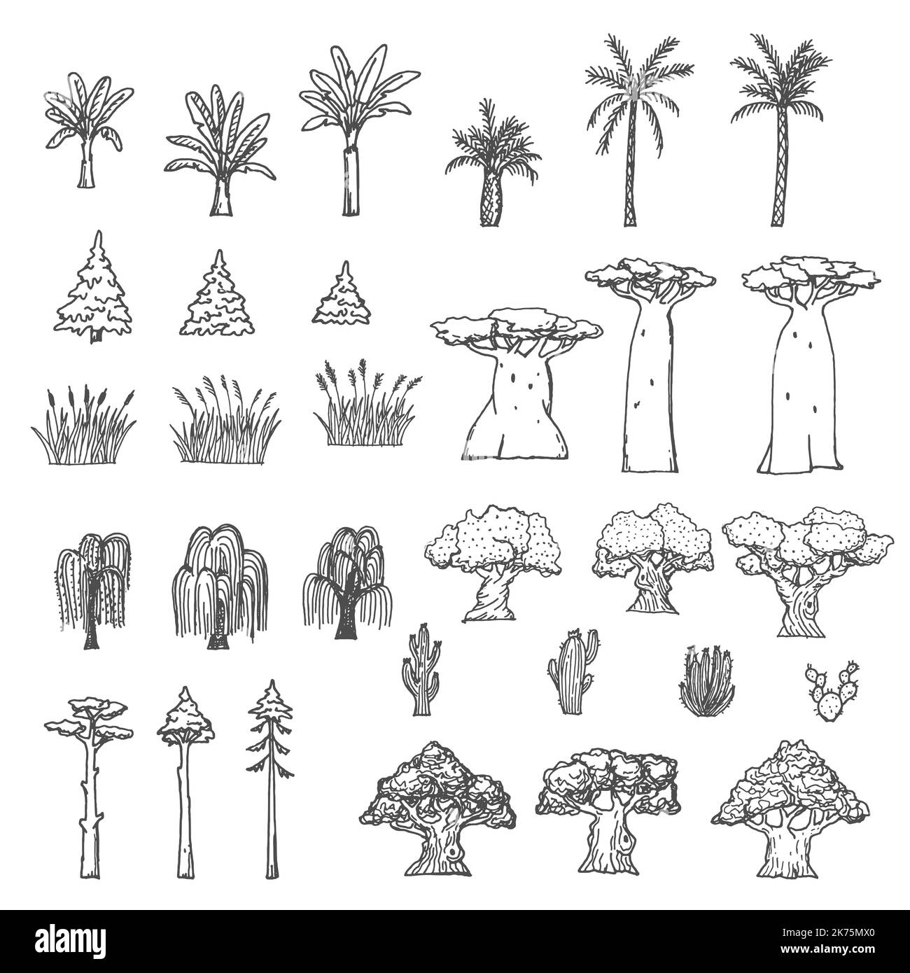 Map of reed hi-res stock photography and images - Alamy