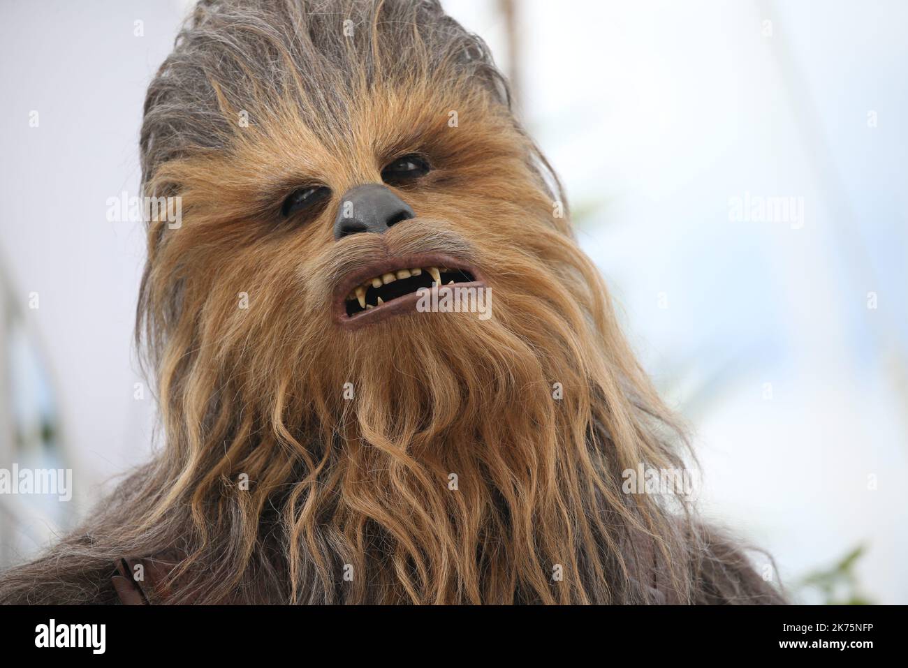 Chewbaca attends the photocall for Solo: A Star Wars Story during the ...