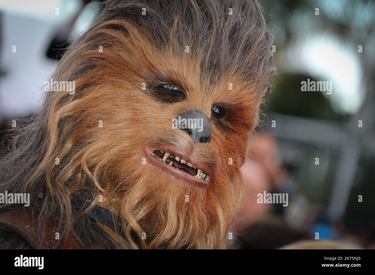 Chewbaca attending the Solo: A Star Wars Story Premiere as part of the ...