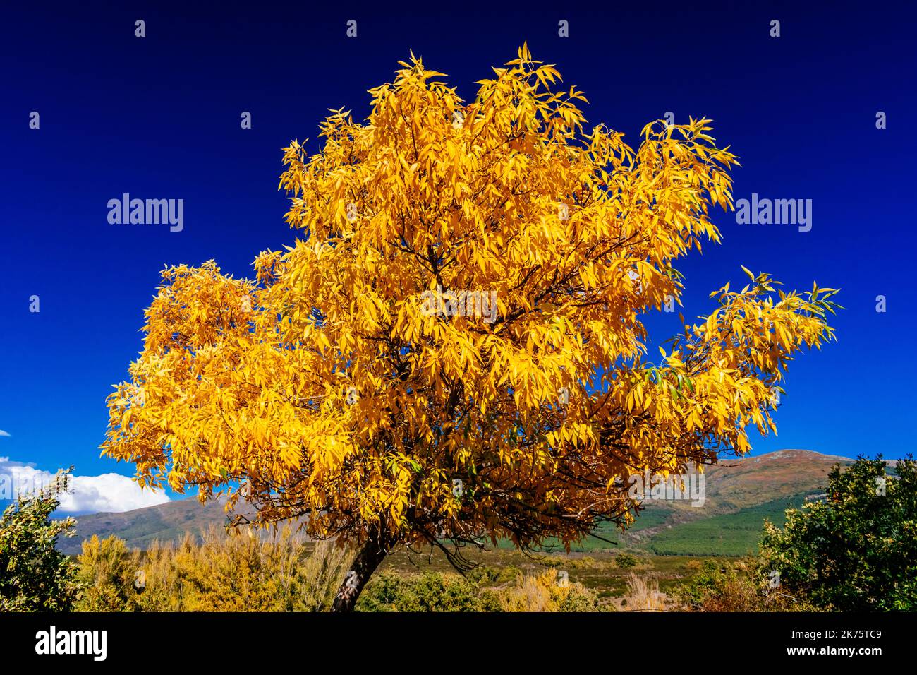 Route of the black villages. Autumn colors. Black Architecture Route of ...