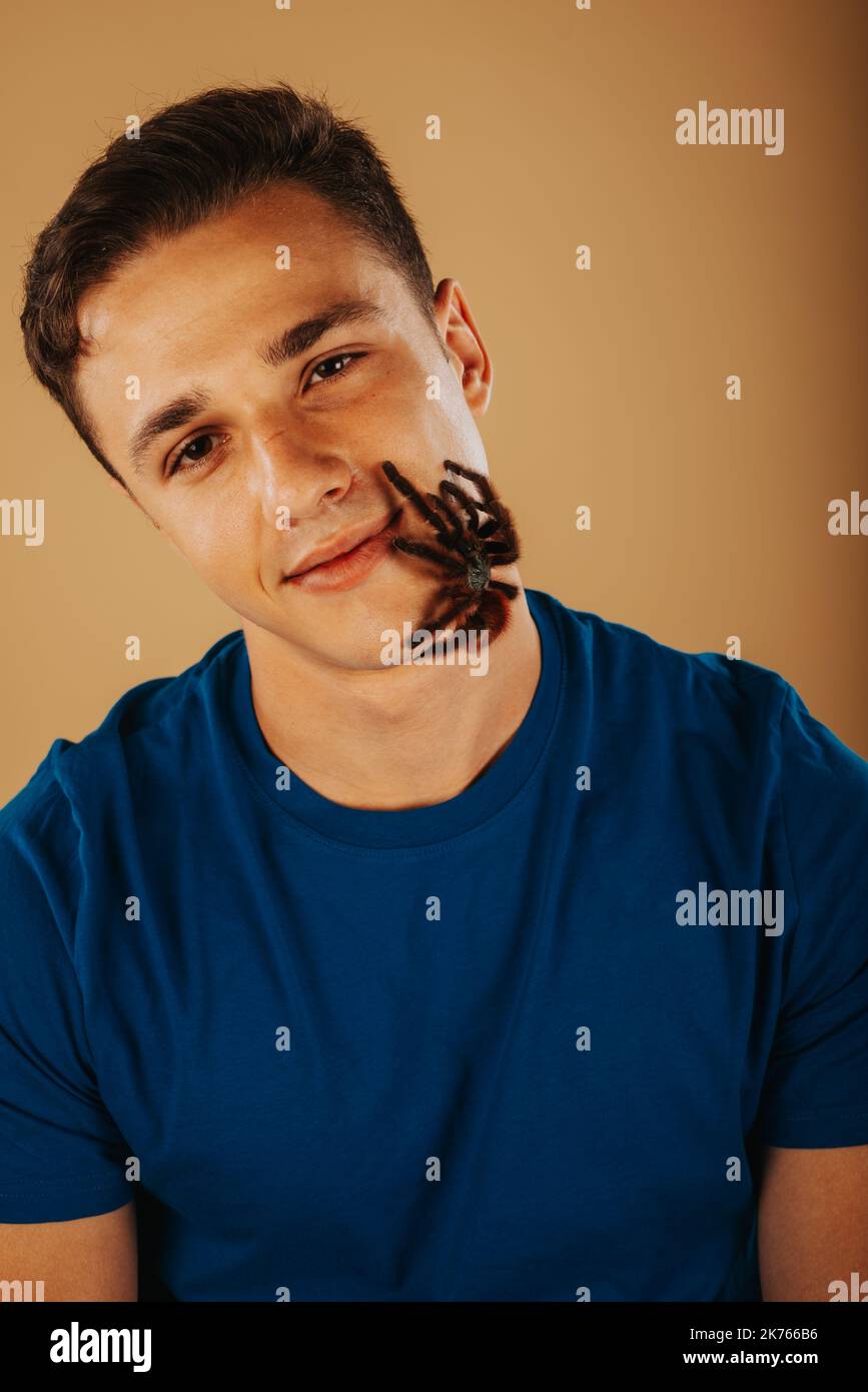 Handsome man smiling with tarantula on his face at the studio Stock ...