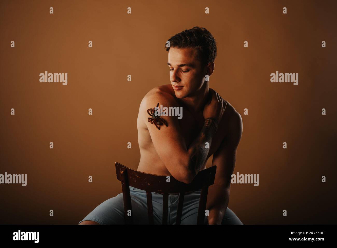 Handsome man sitting at the studio on a chair with tarantula on his arm ...