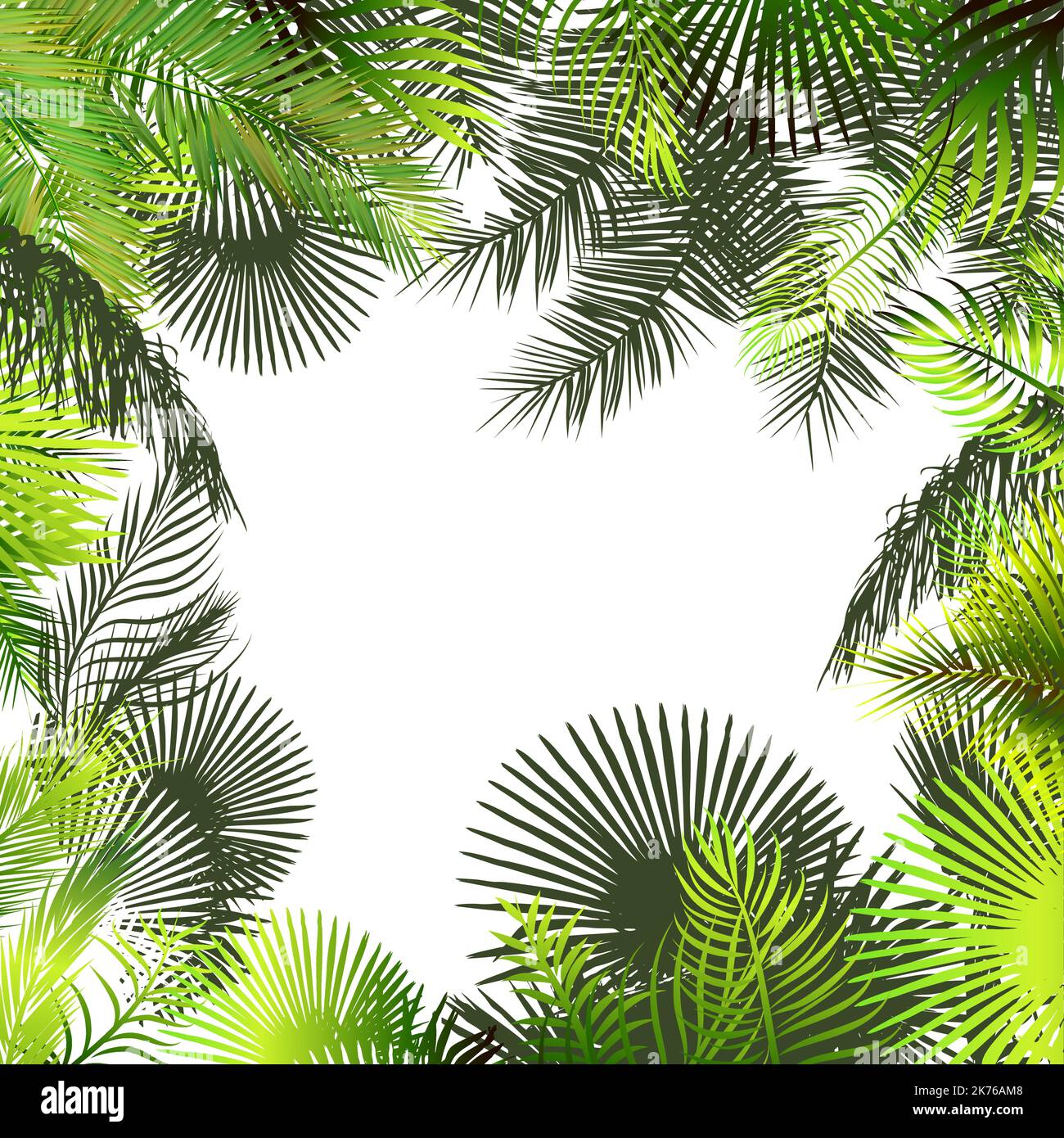 Frame with palm leaves. Vector illustration Stock Vector Image & Art ...