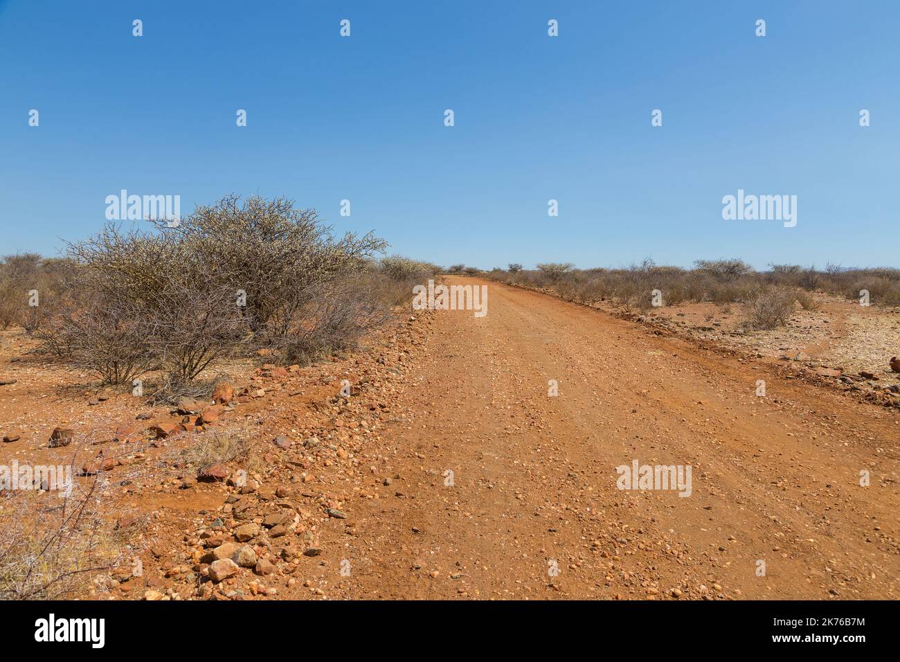 Namibian landscape along the gravel road. Red ground and African ...