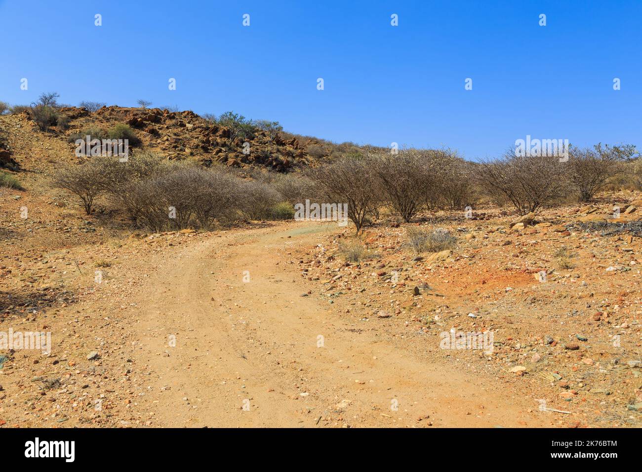 Namibian landscape along the gravel road. Red ground and African ...