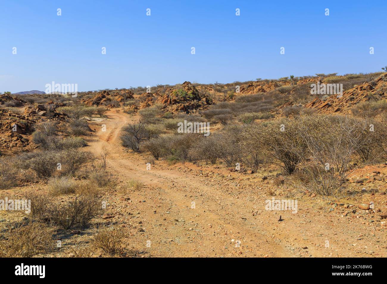 Namibian landscape along the gravel road. Red ground and African ...