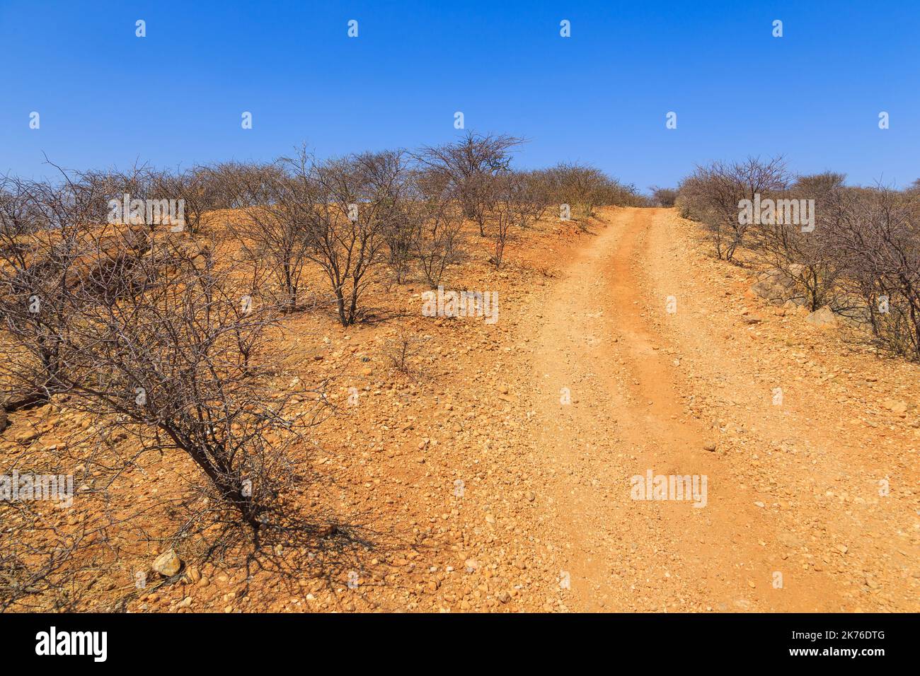 Namibian landscape along the gravel road. Red ground and African ...