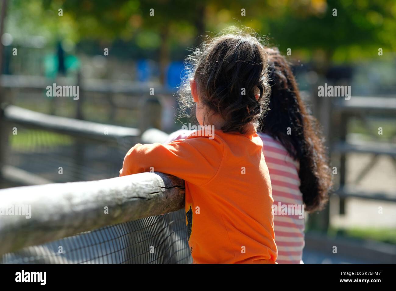 Beautiful girl observing farm animals Stock Photo - Alamy