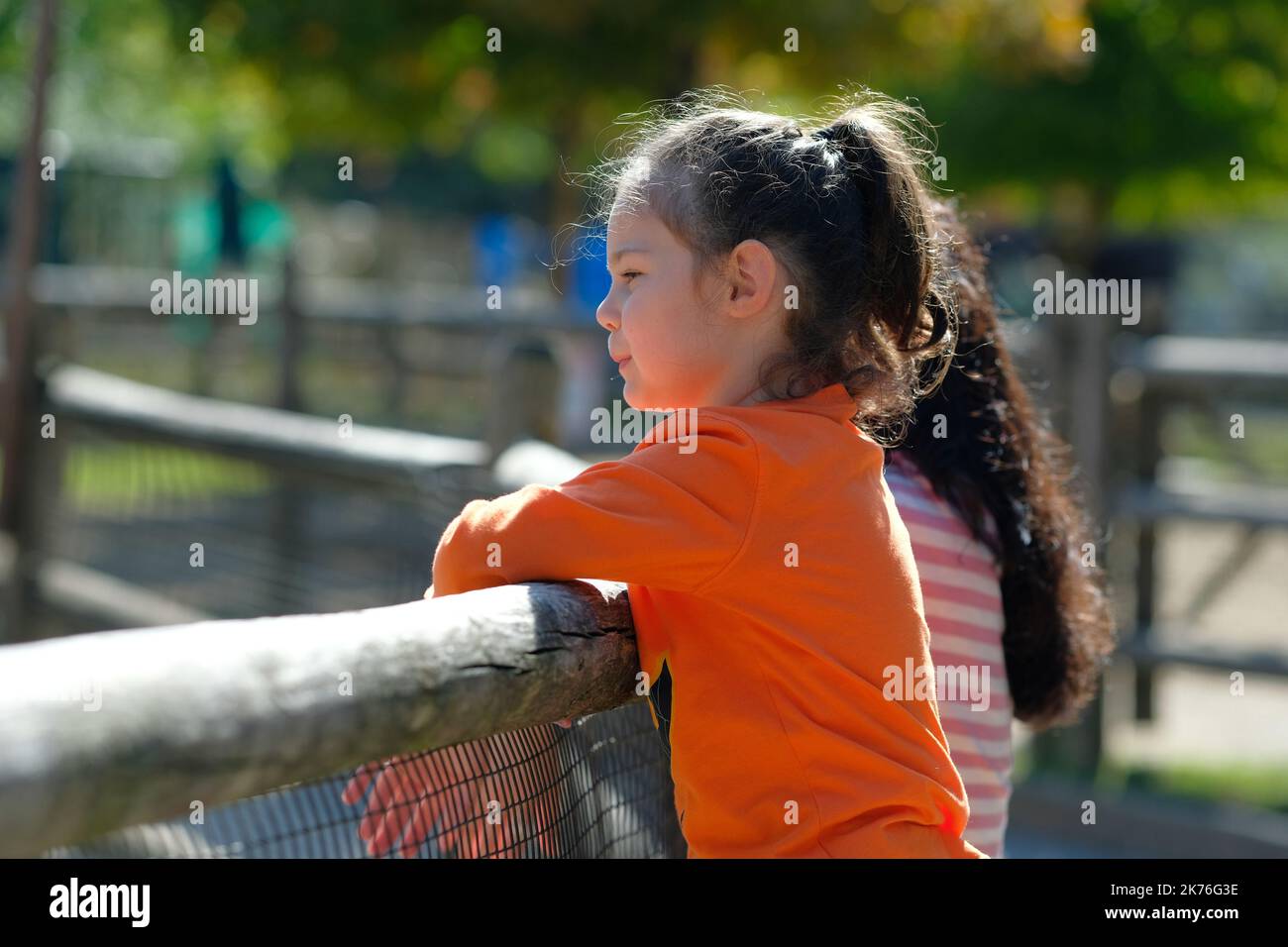 Beautiful girl observing farm animals Stock Photo - Alamy