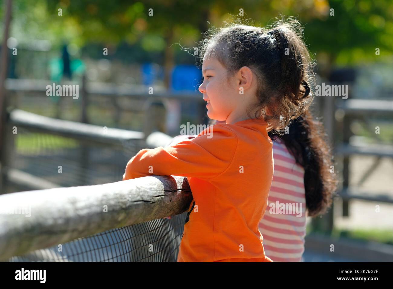 Beautiful girl observing farm animals Stock Photo - Alamy