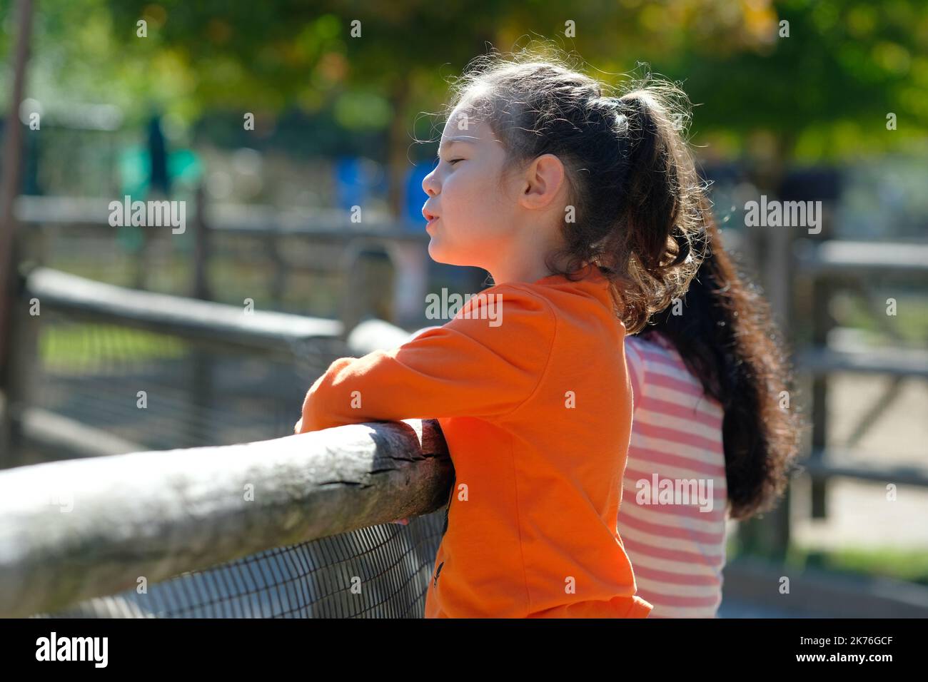 Beautiful girl observing farm animals Stock Photo - Alamy