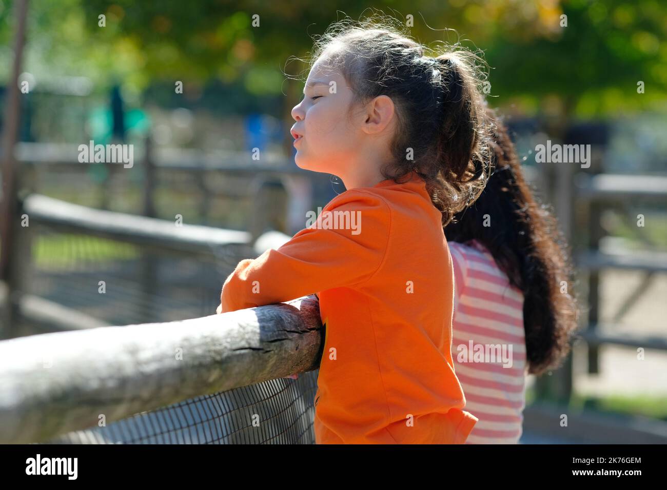 Beautiful girl observing farm animals Stock Photo - Alamy
