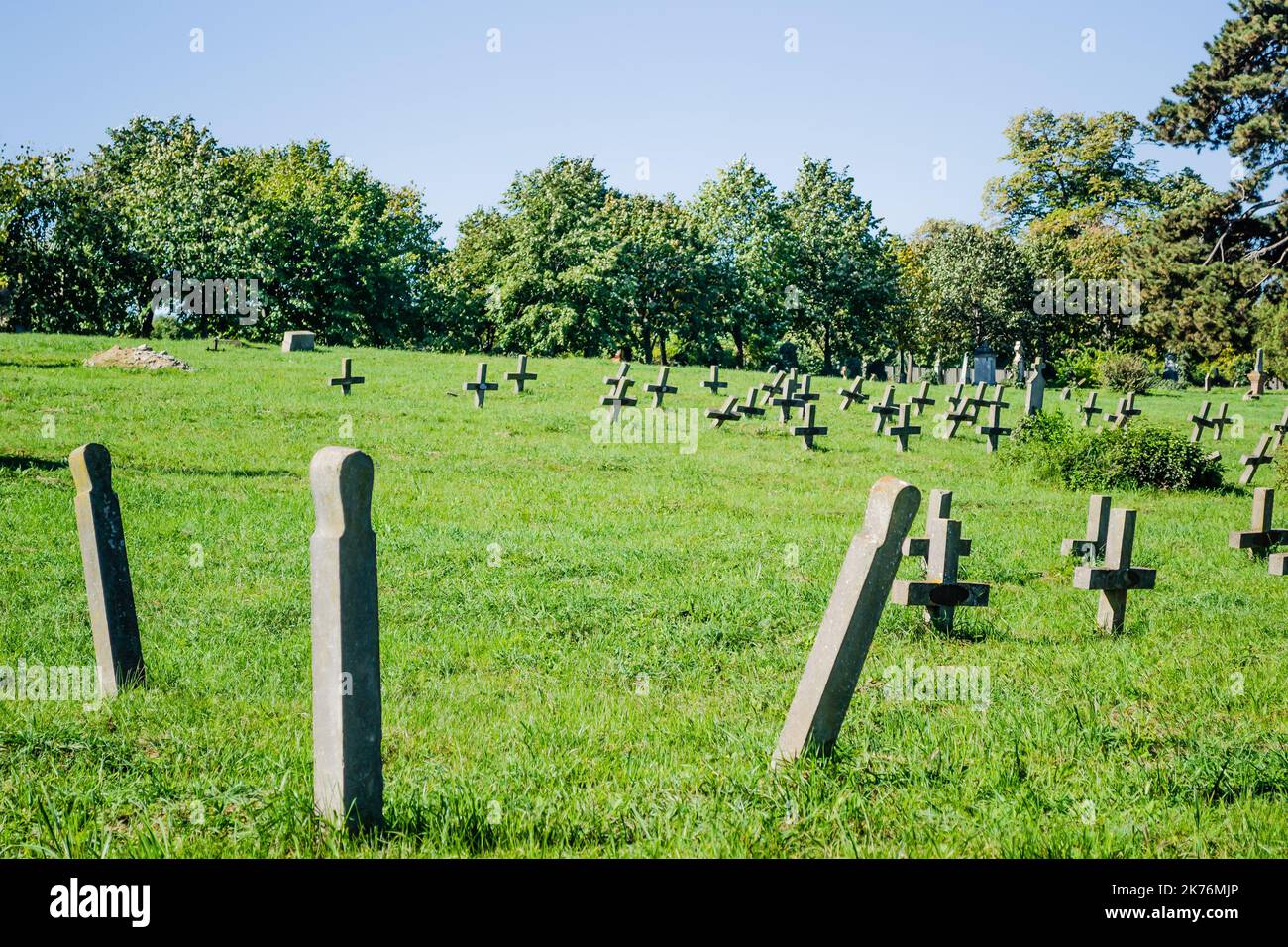 The old military cemetery at Tranžament, Petrovaradin. A panoramic view ...