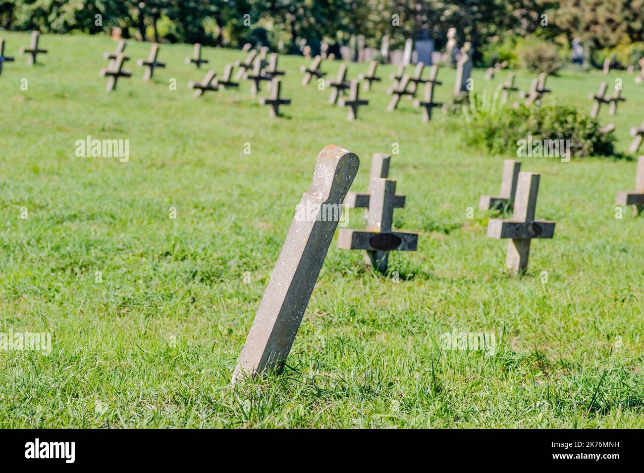 The old military cemetery at Tranžament, Petrovaradin. A panoramic view ...