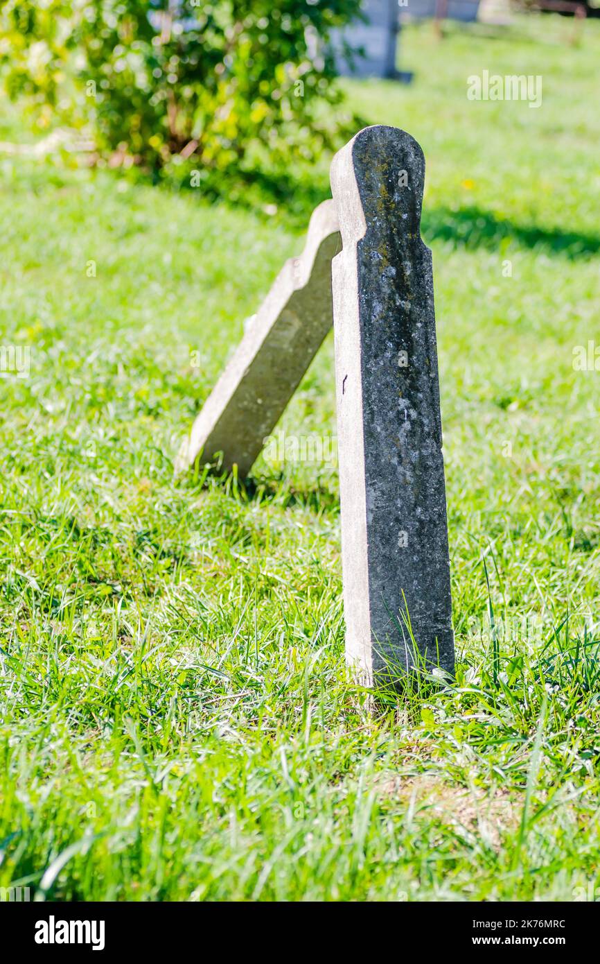The old military cemetery at Tranžament, Petrovaradin. A panoramic view ...
