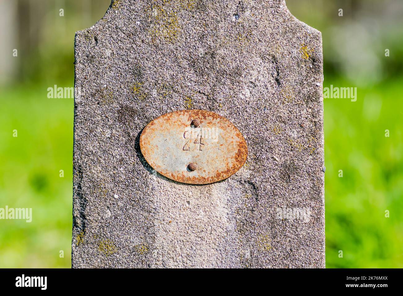 The old military cemetery at Tranžament, Petrovaradin. A panoramic view ...
