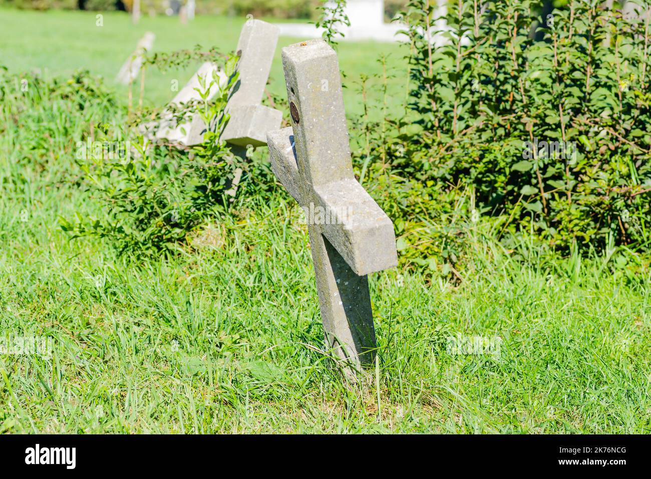 The old military cemetery at Tranžament, Petrovaradin. A panoramic view ...