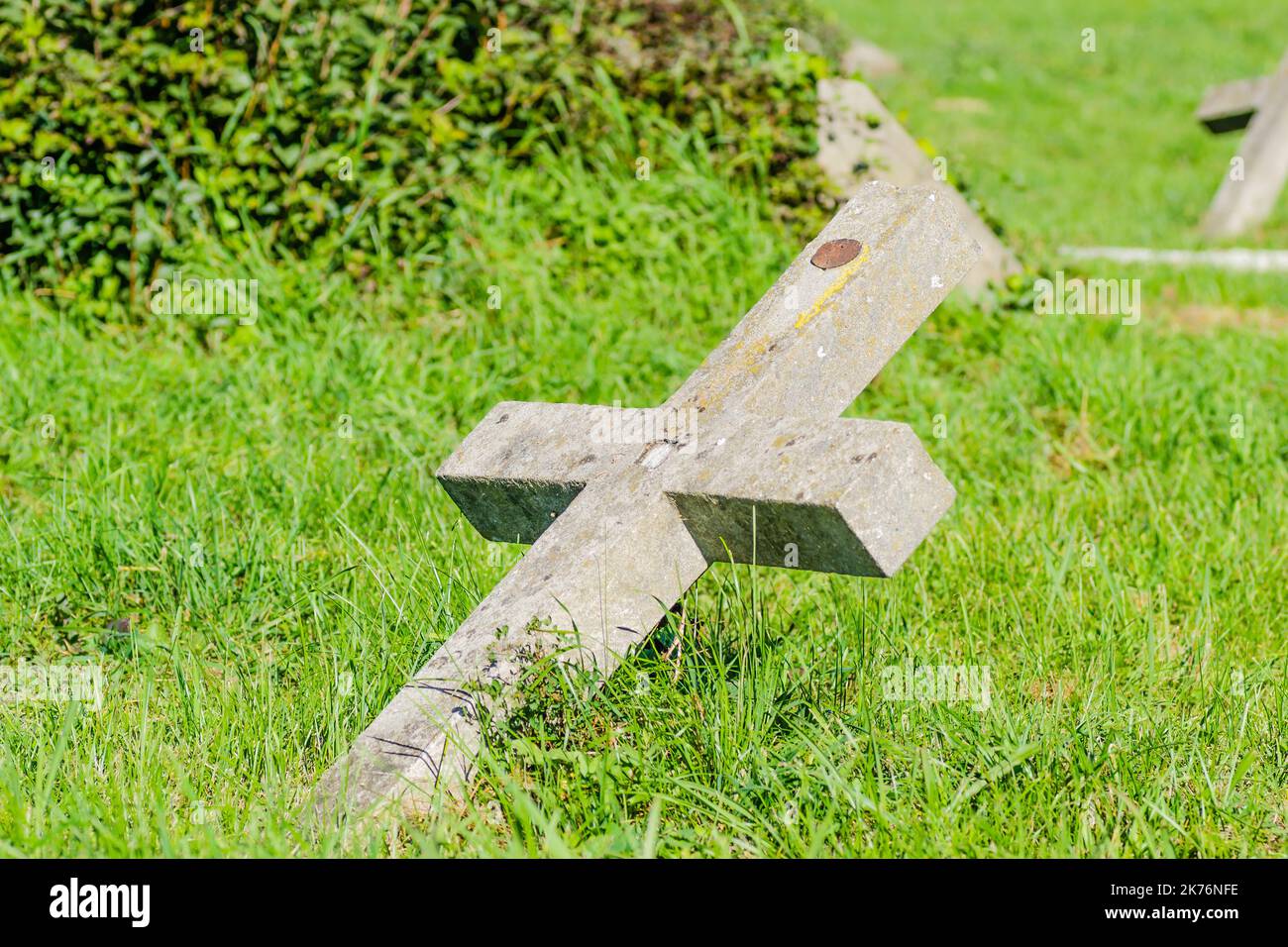 The old military cemetery at Tranžament, Petrovaradin. A panoramic view ...