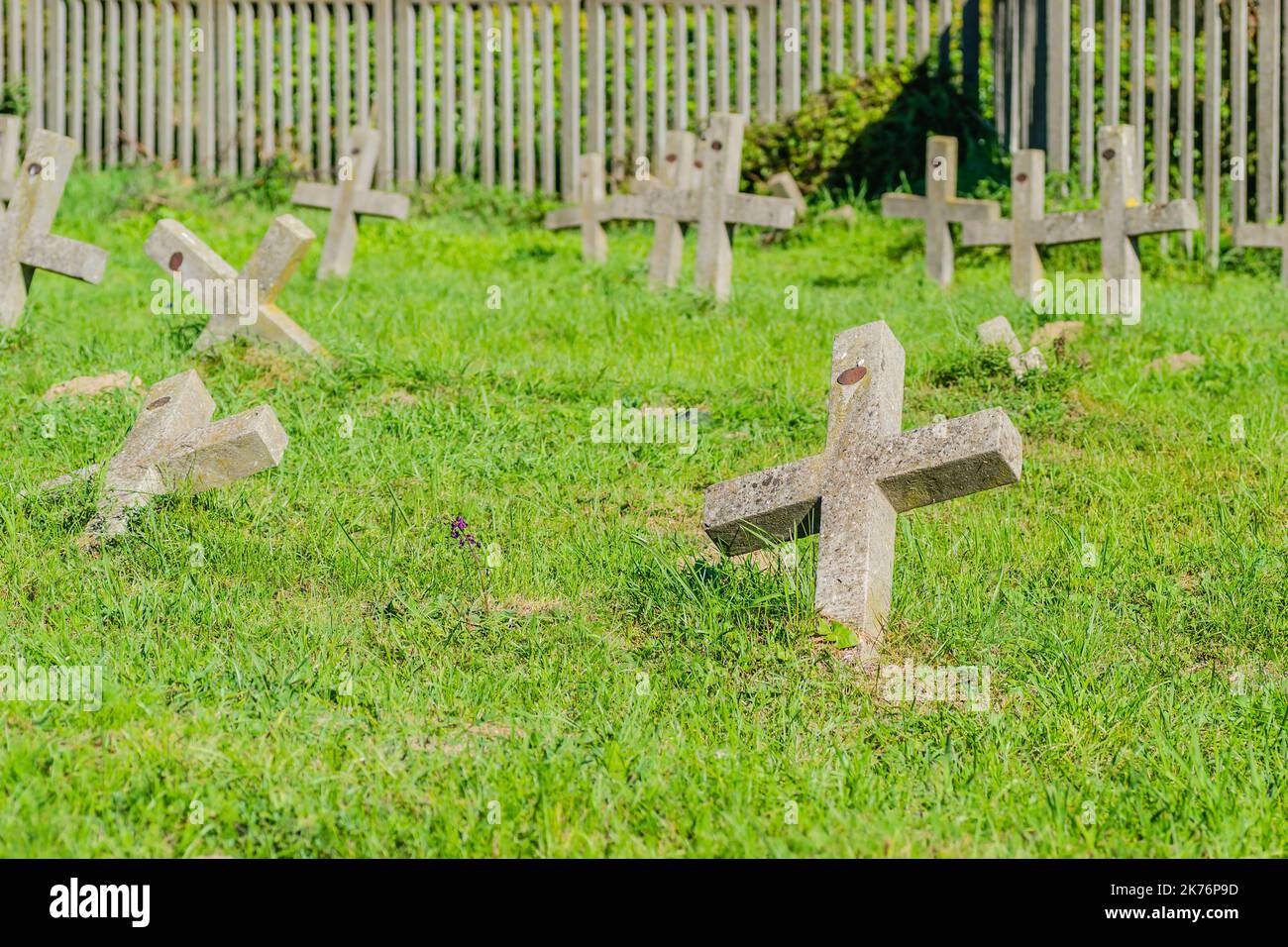 The old military cemetery at Tranžament, Petrovaradin. A panoramic view ...