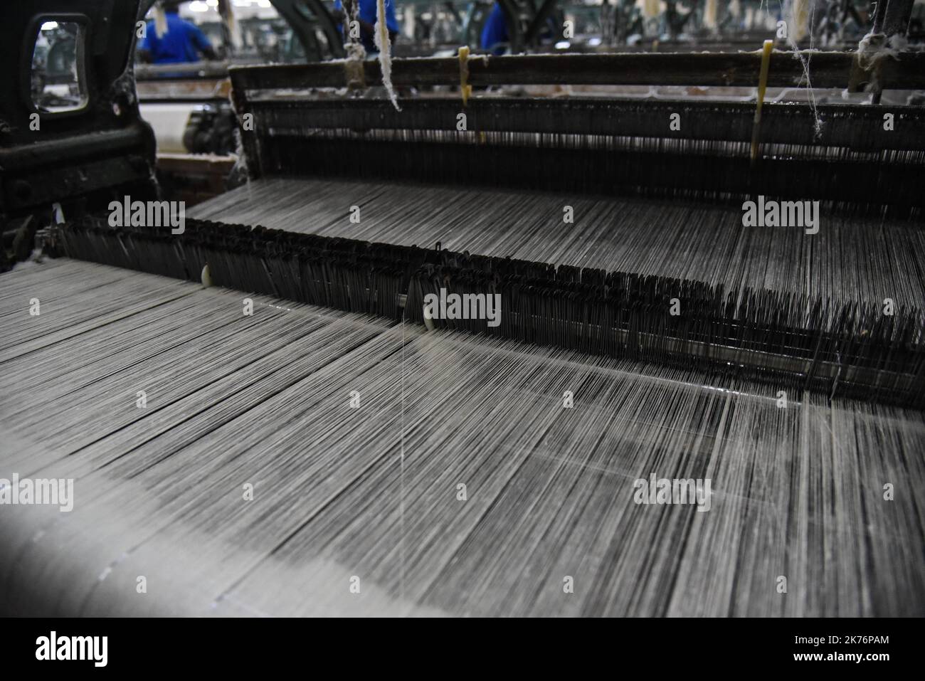 Comatex hi-res stock photography and images - Alamy