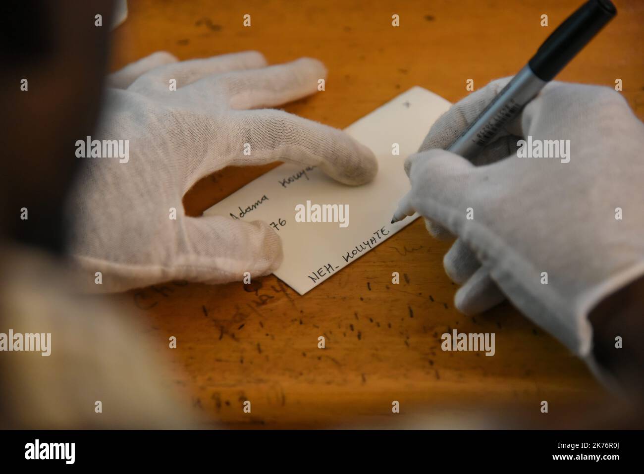 Once scanned, the references of the photograph, the author, the year ...