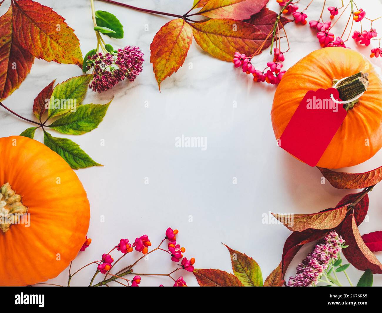 Happy Thanksgiving. Bright pumpkins, tree leaves, red berries and ...