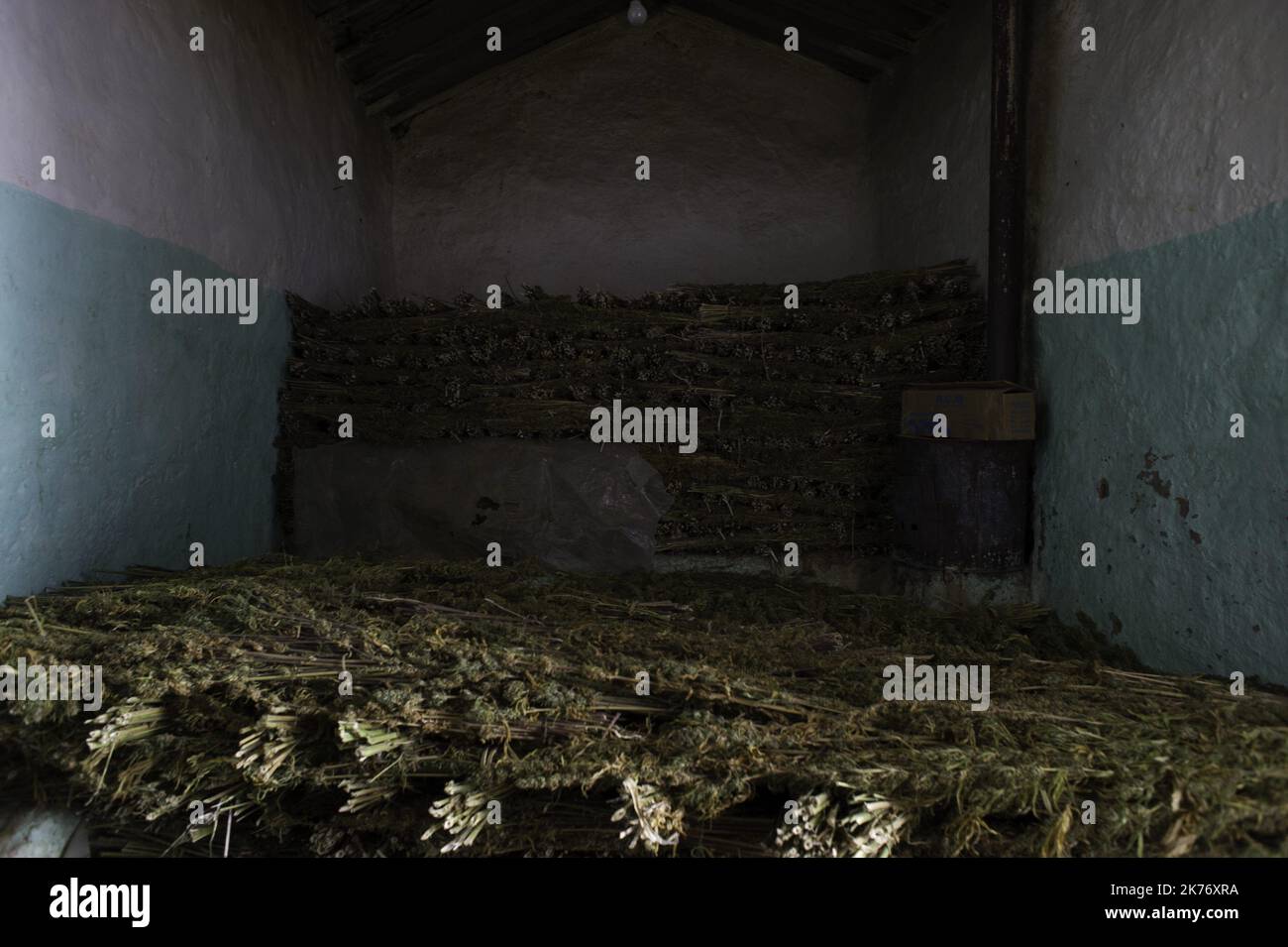 Cannabis farm house hi-res stock photography and images - Alamy