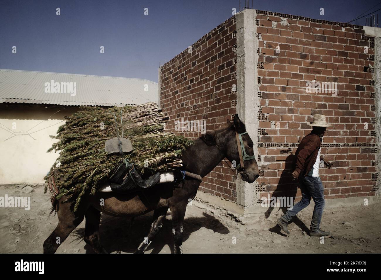 Cannabis in morocco hi-res stock photography and images - Alamy