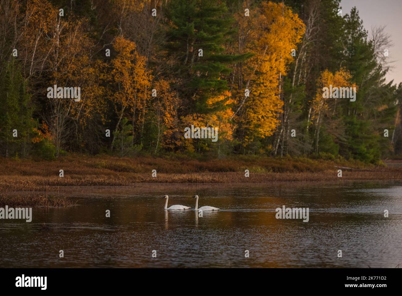 Clam lake wisconsin hi-res stock photography and images - Alamy