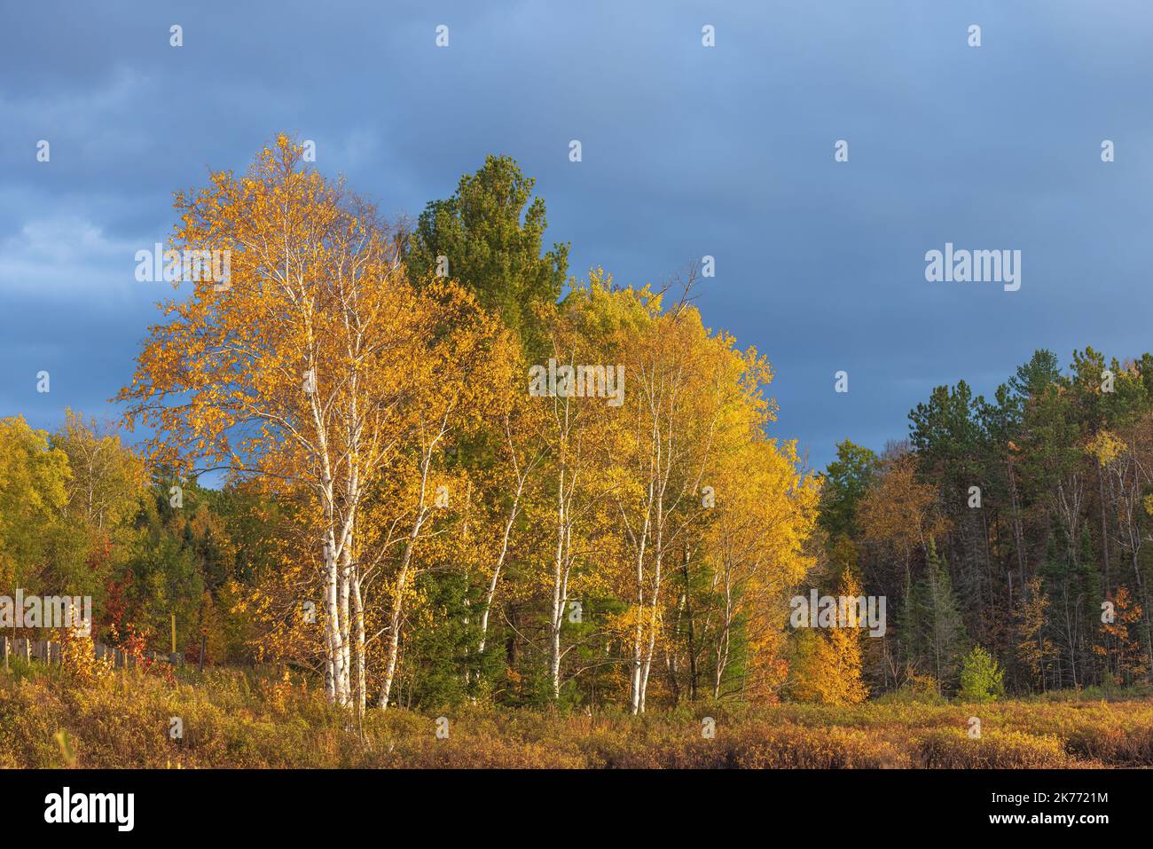 Beautiful light illuminating the fall colors on Little Clam Lake in ...