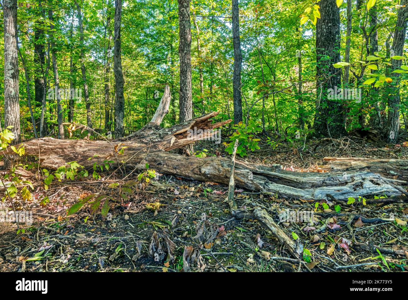 Catoosa hi-res stock photography and images - Alamy