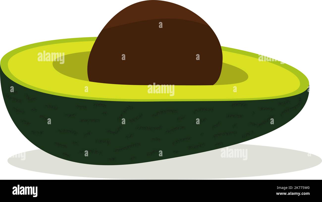 Half an avocado with a pit. Vector illustration Stock Vector Image ...
