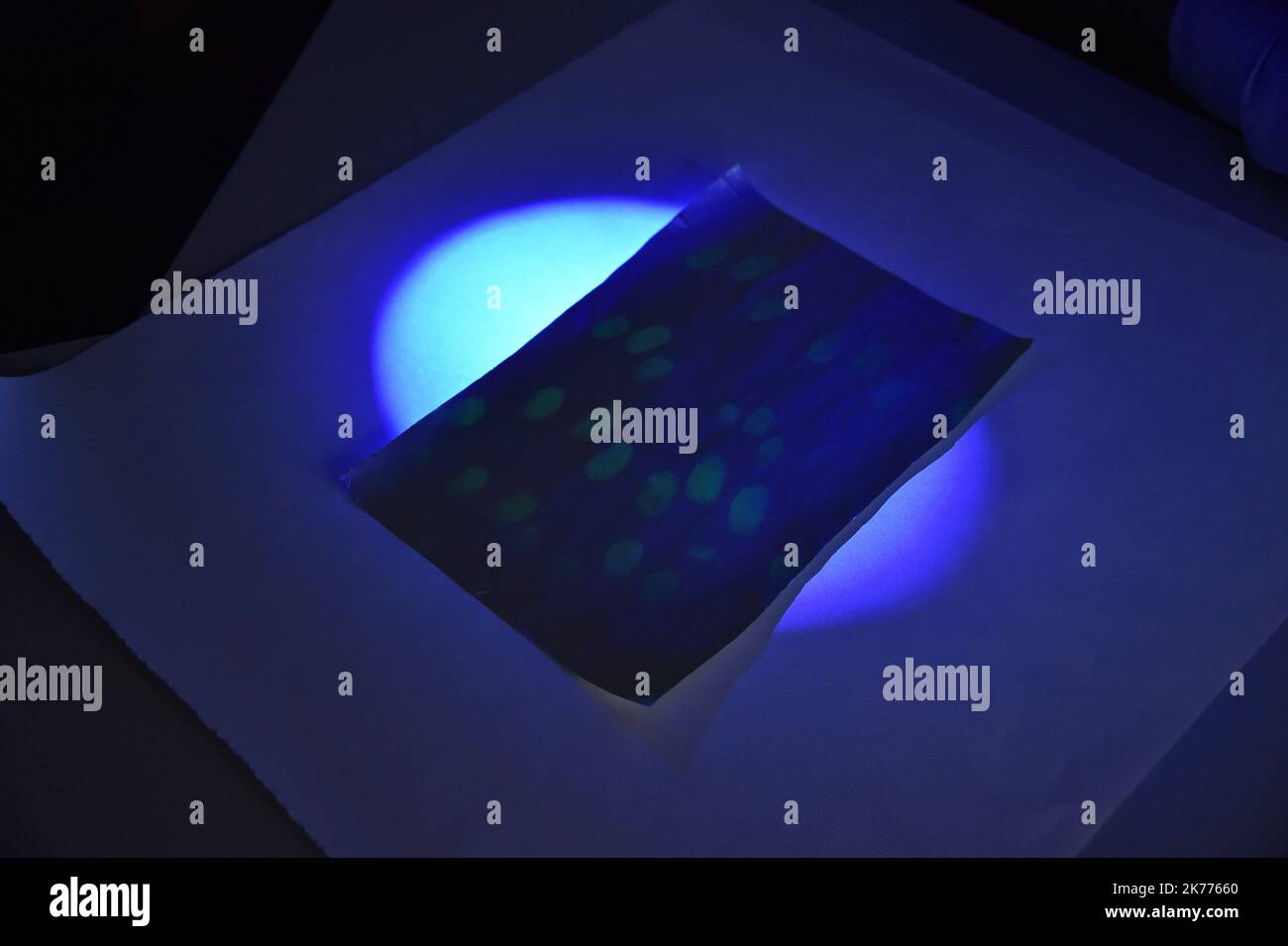 ©PHOTOPQR/VOIX DU NORD - A Lille, Cosimo Prete, un ancien archéologue ...