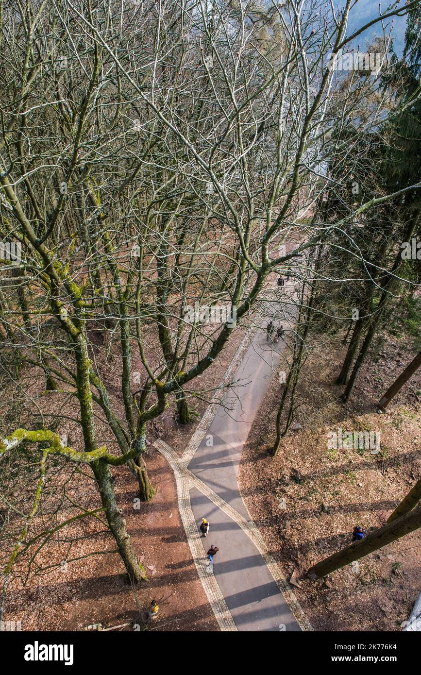 A giant fir construction allows tourists to admire a loop of the Saar ...
