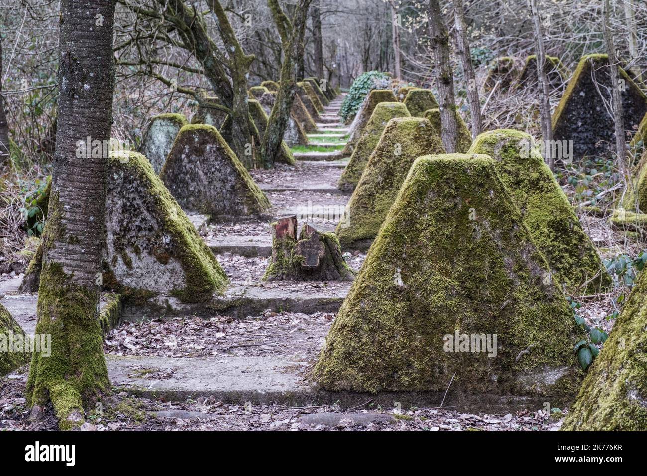 Orscholz, Saarland, Germany. Part of the Dragon's Teeth, the anti-tank ...