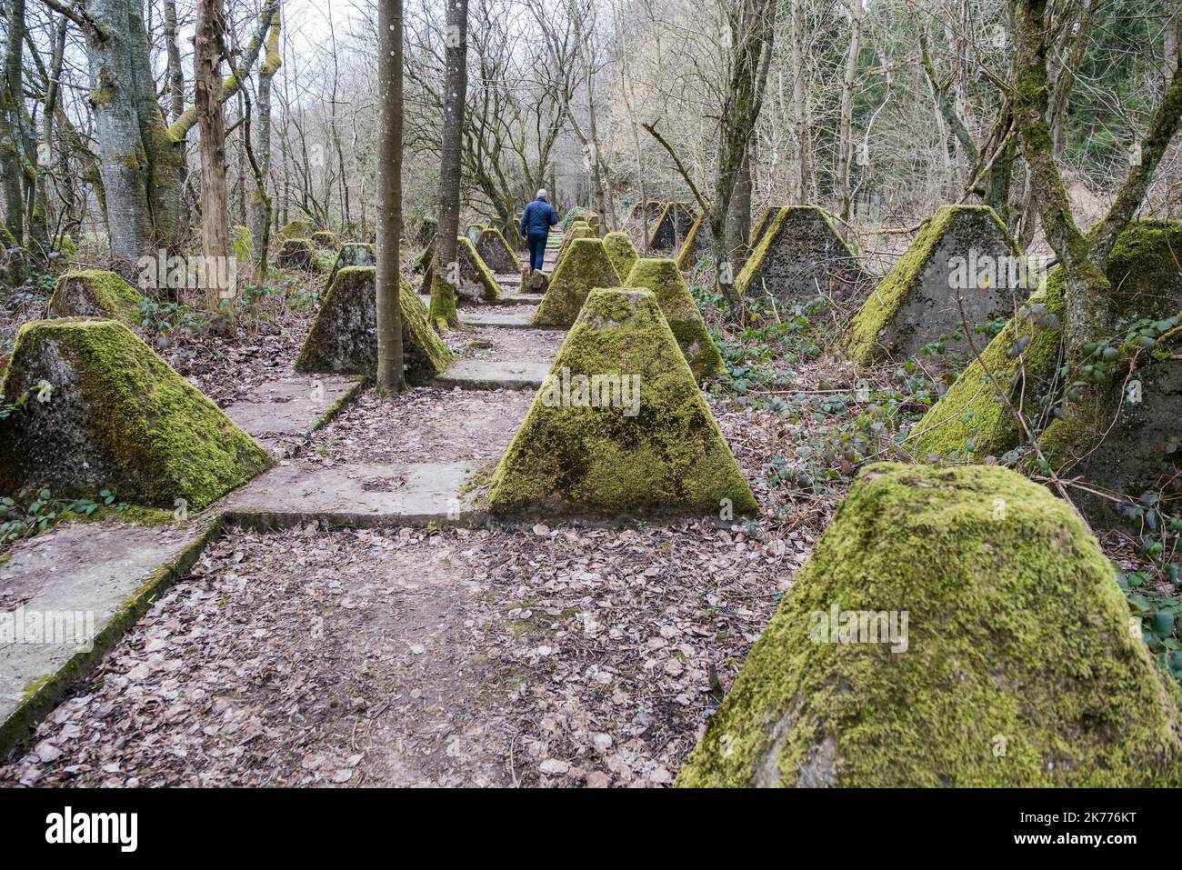 Orscholz, Saarland, Germany. Part of the Dragon's Teeth, the anti-tank ...
