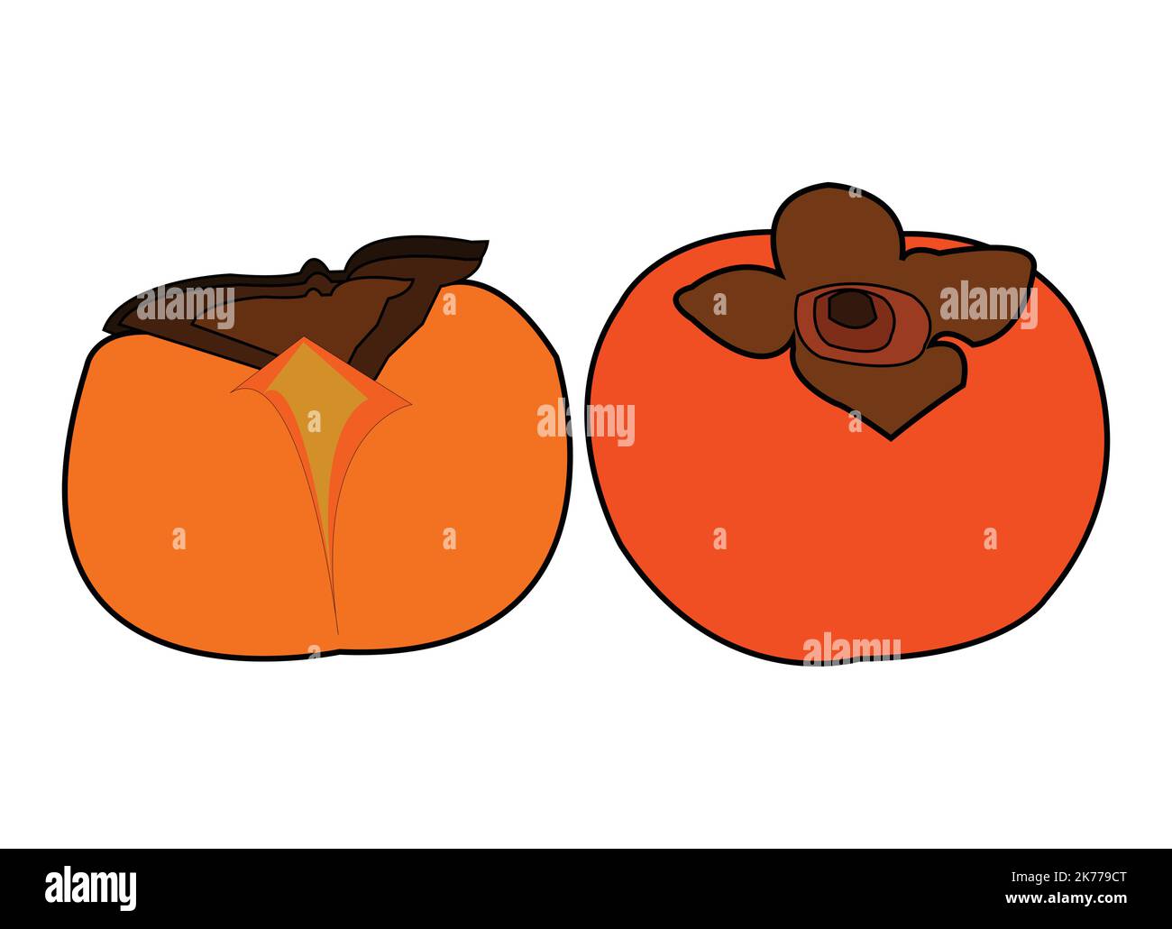 Colorful persimmon vector art design.Best graphic resources ...