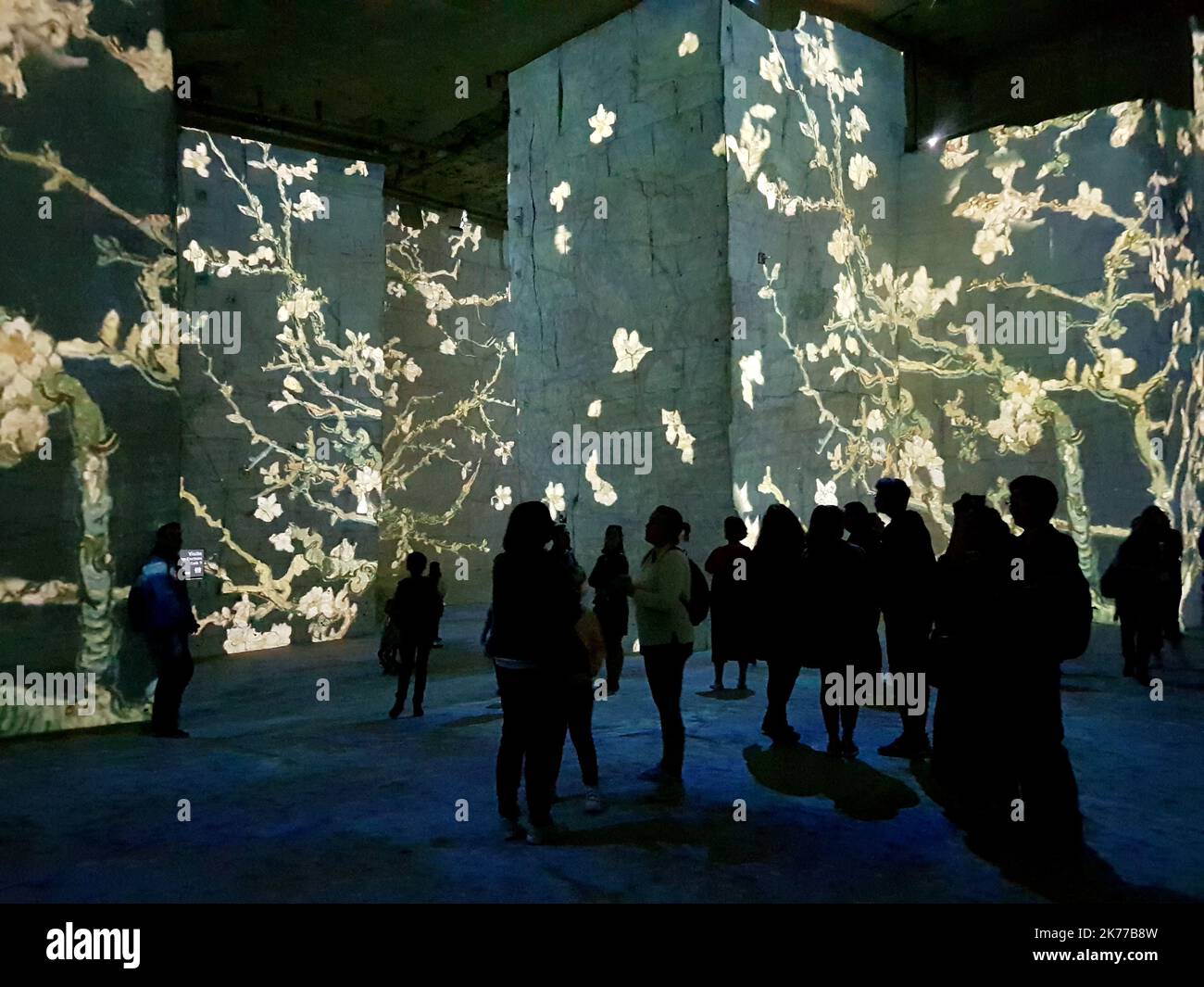 Van Gogh, Starry Night at the Careers of Lights in the Baux de Provence ...