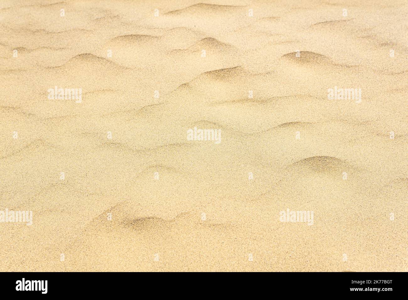 natural background, sandy desert surface with wind ripples Stock Photo ...